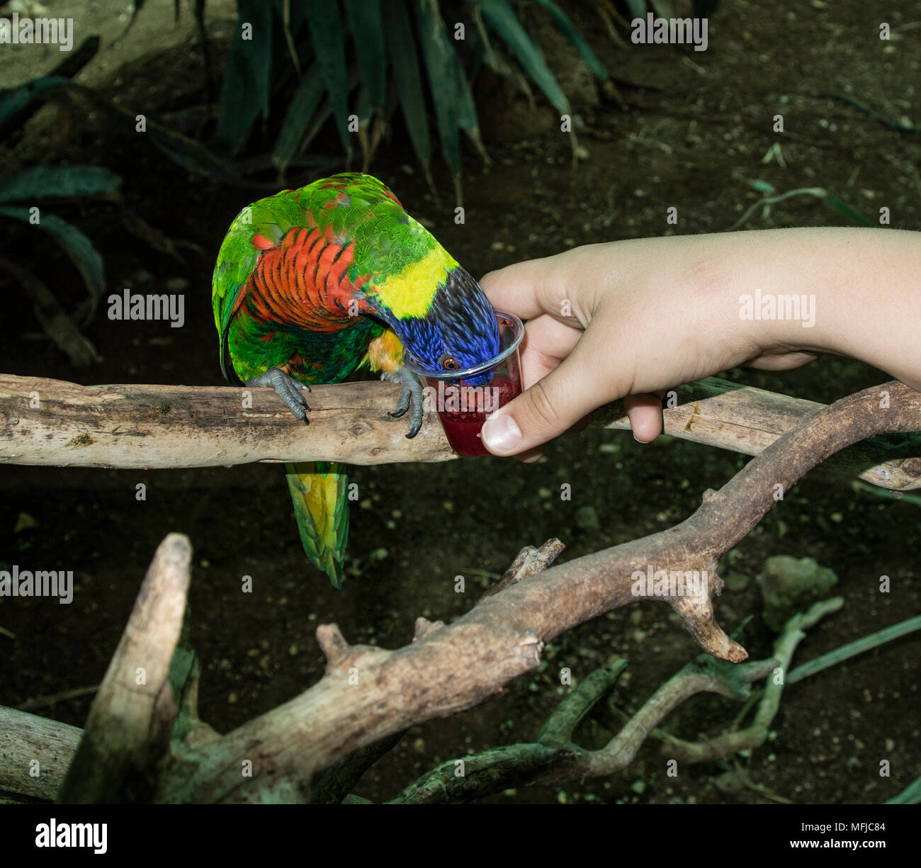 Handgeed hi-res stock photography and images - Alamy