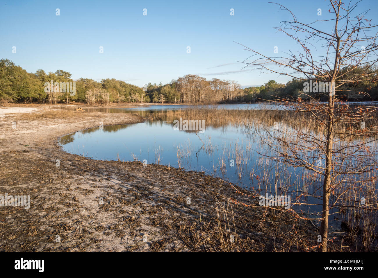 Indian springs hi-res stock photography and images - Alamy