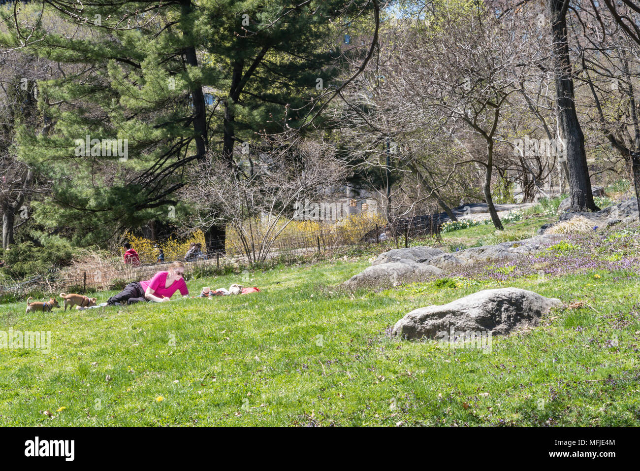 Spring public popular hi-res stock photography and images - Alamy