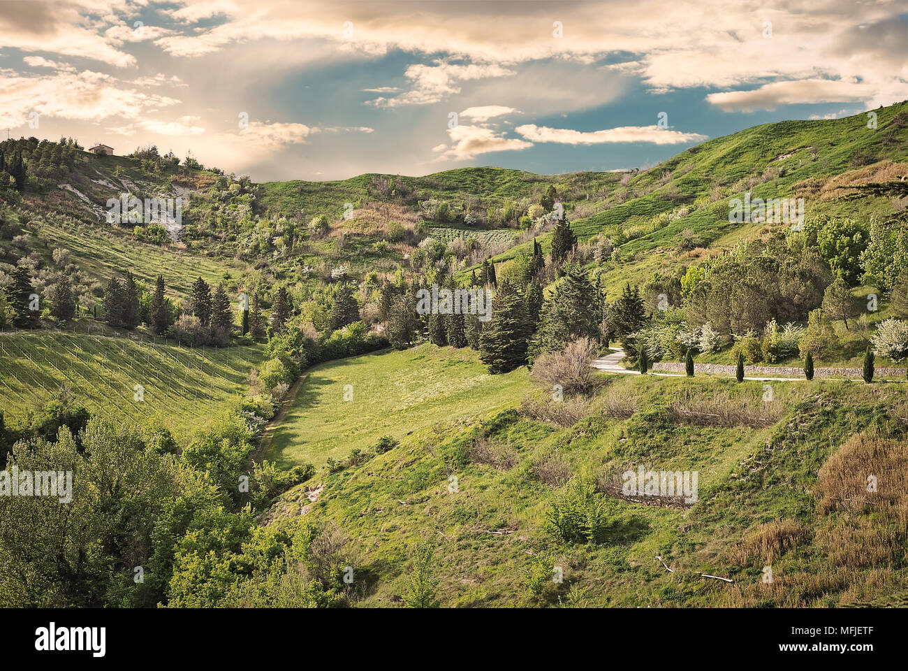 Grassy fields in italian countryside hi-res stock photography and ...