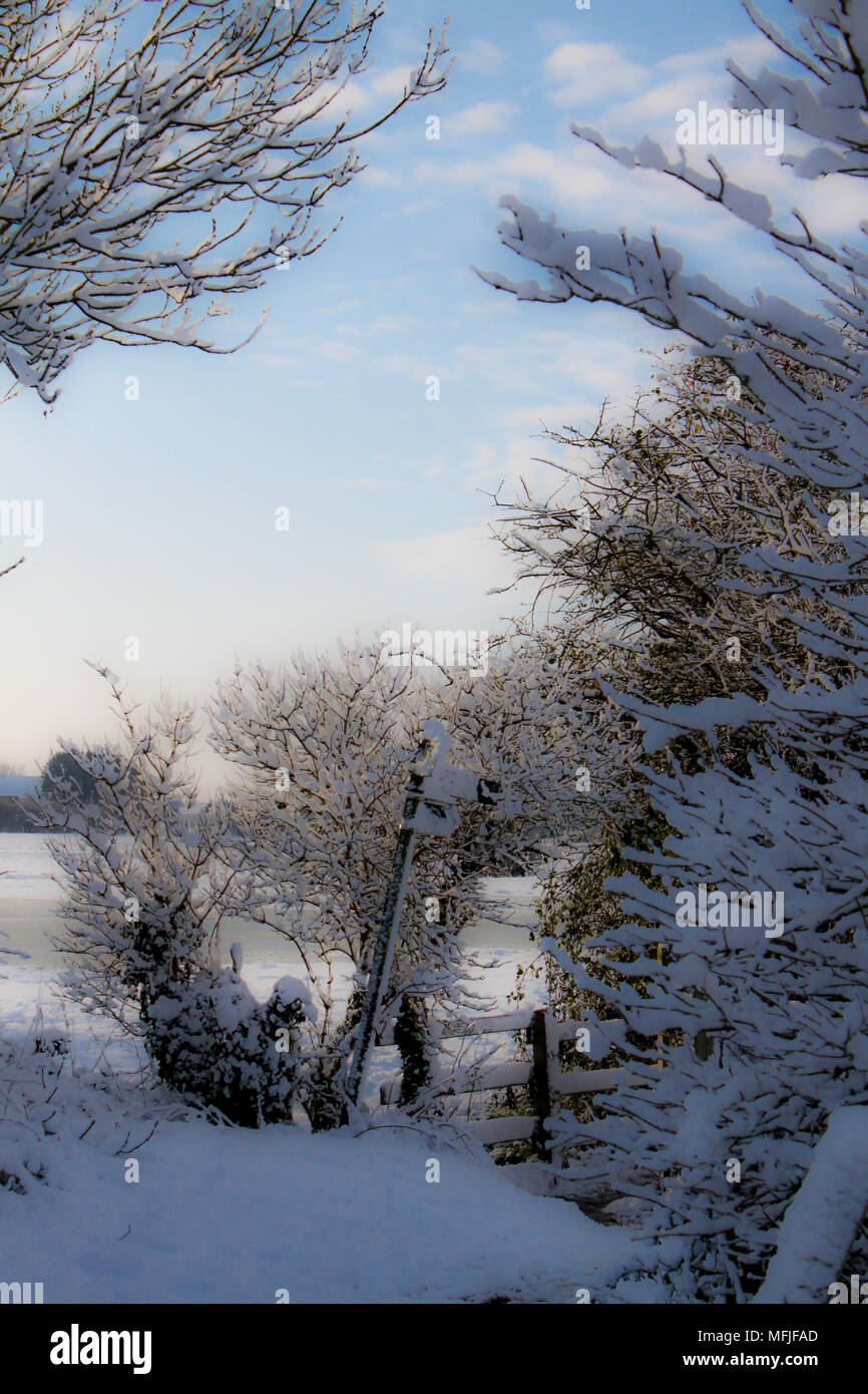 Fen fields hi-res stock photography and images - Alamy
