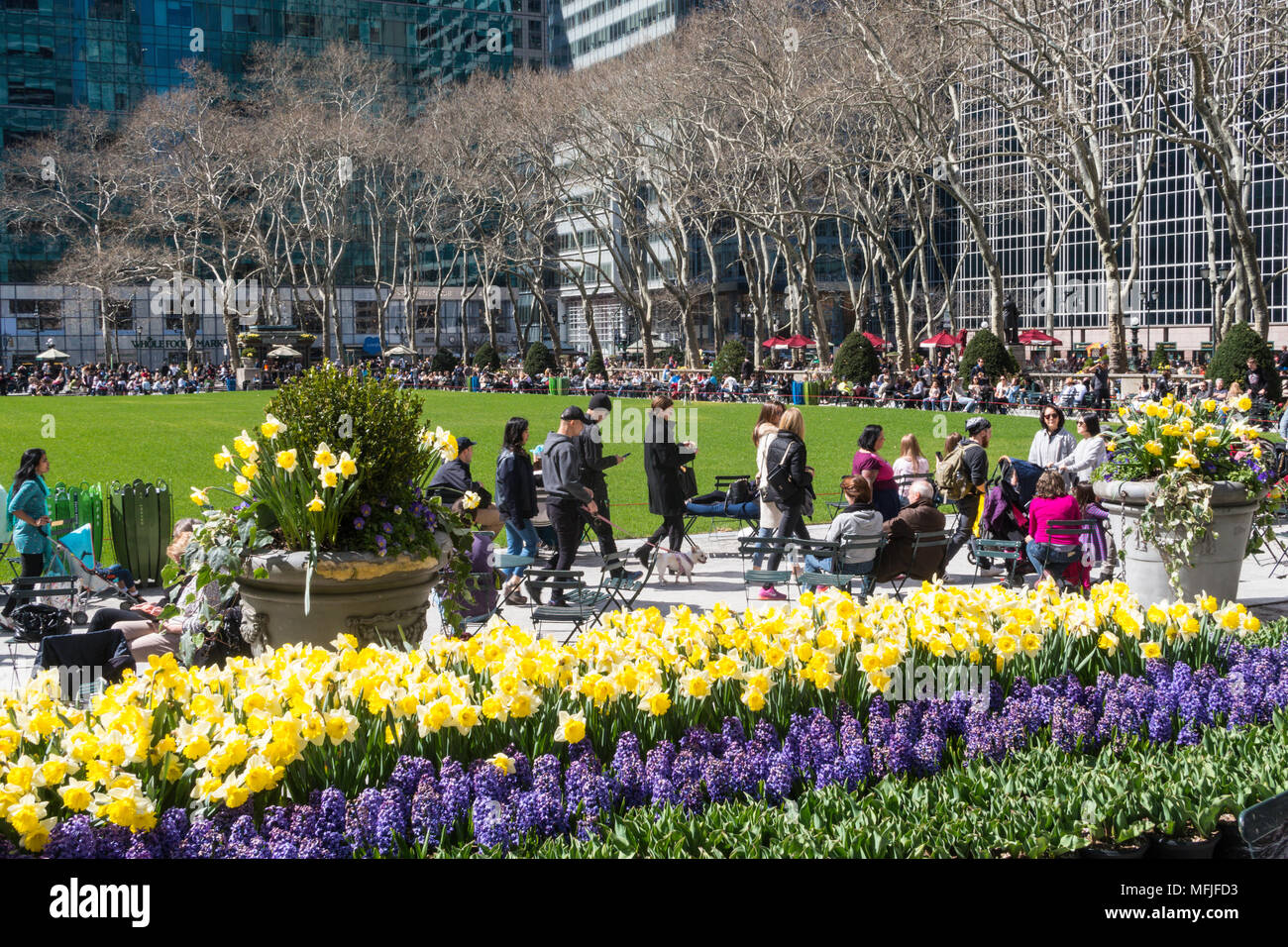 Bryant Park in Springtime is and Oasis in Midtown Manhattan, NYC, USA ...