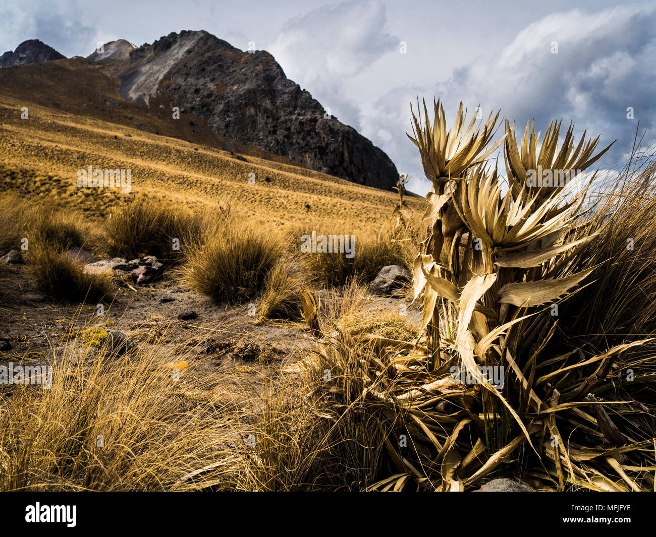 Nevado de toluca hi-res stock photography and images - Alamy