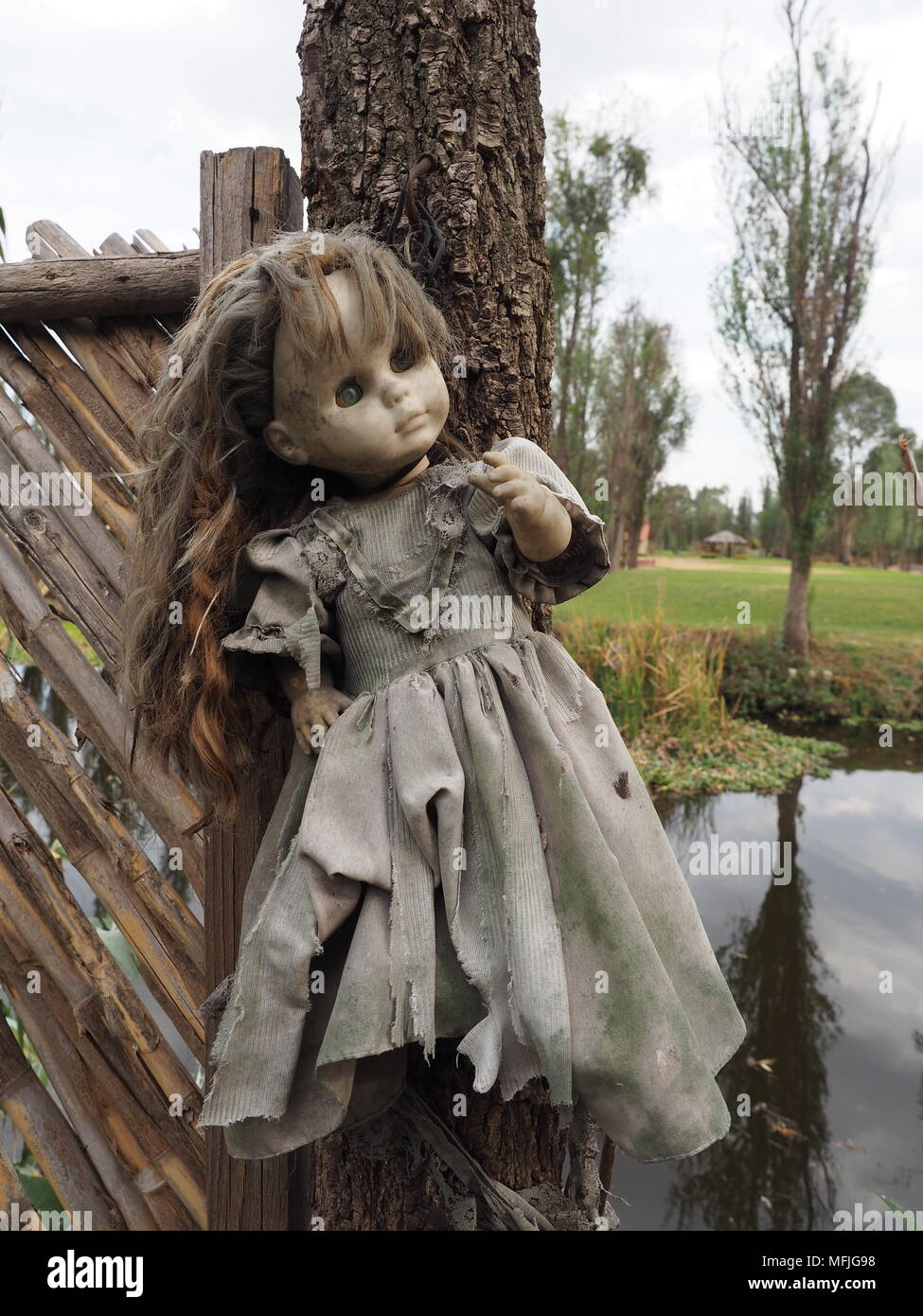 Island of the Dolls in Xochimilco, Mexico Stock Photo - Alamy