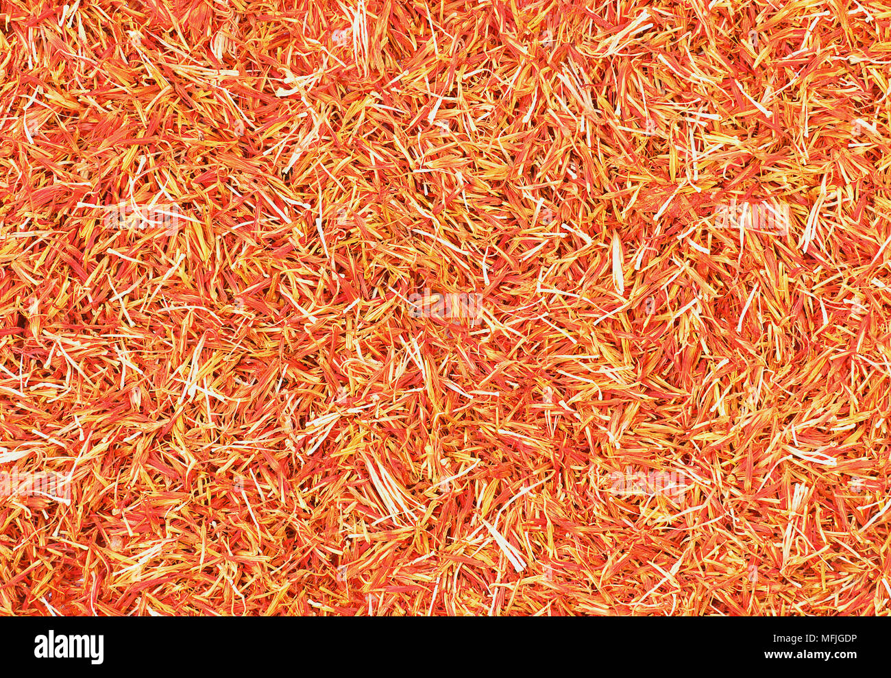 Closeup safflower herbal texture for background, red and yellow leaves ...