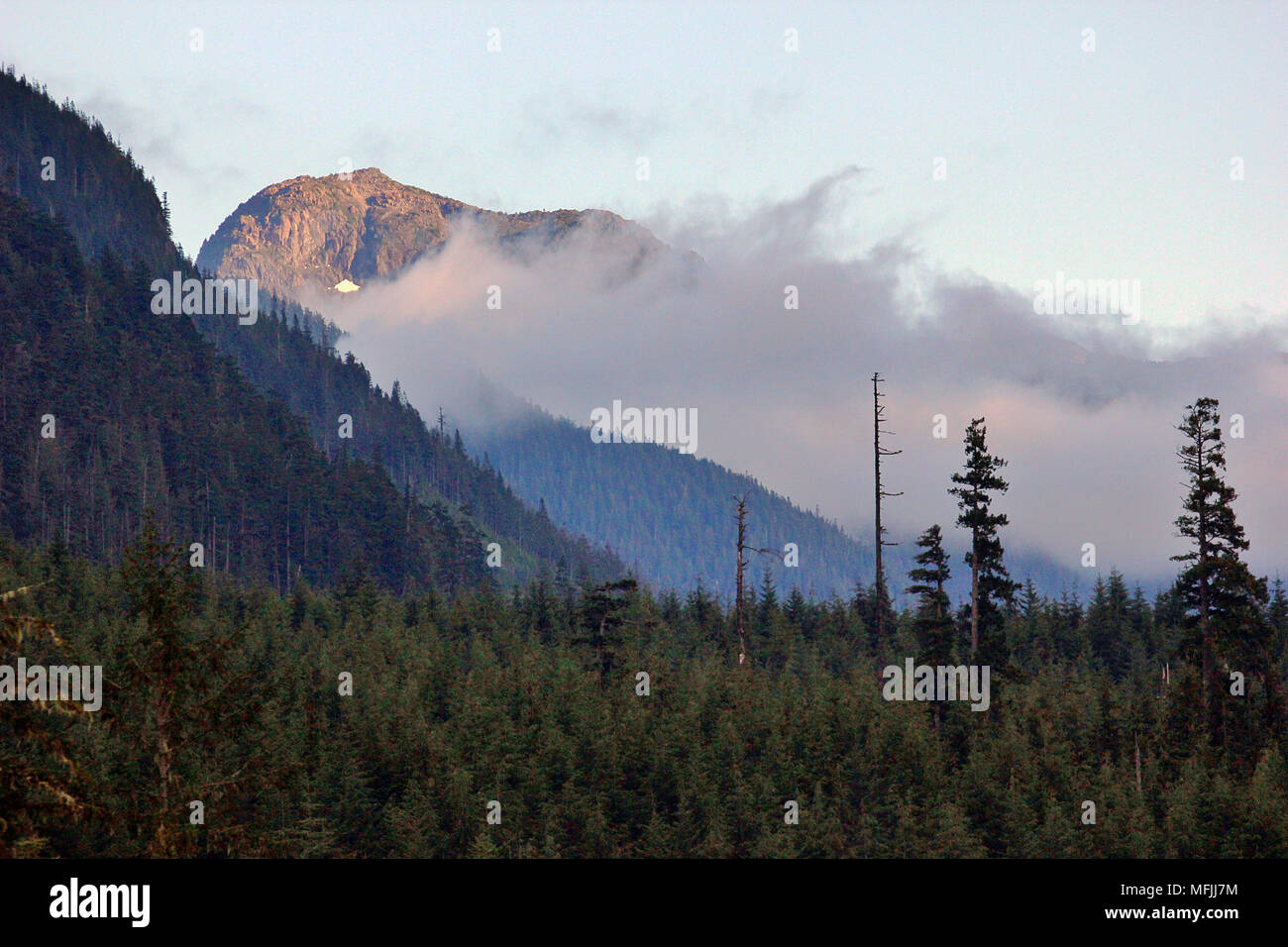 Morning clouds on Mount Palmerston and the remote forests of Northern ...