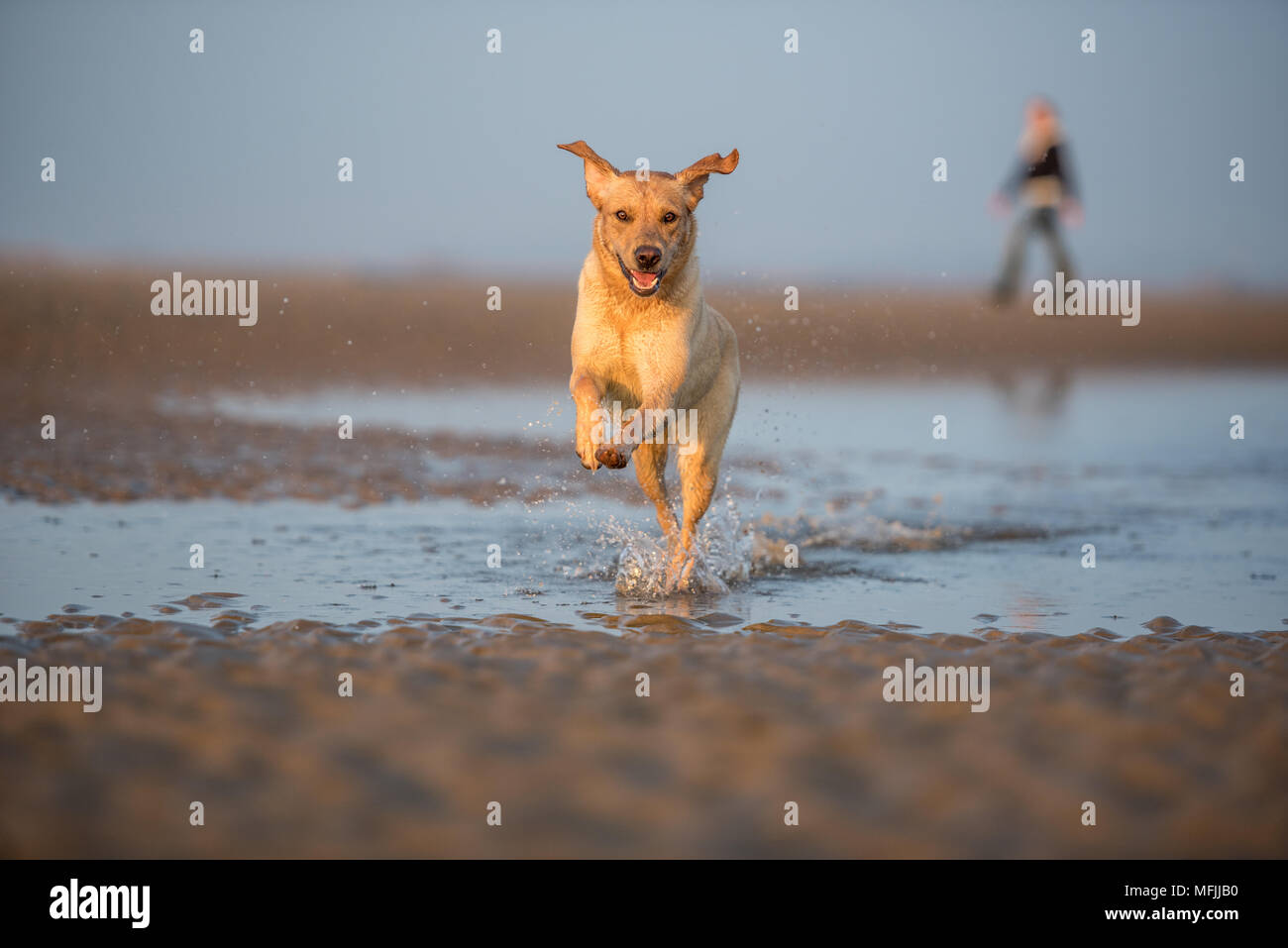 Rye beaches hi-res stock photography and images - Alamy