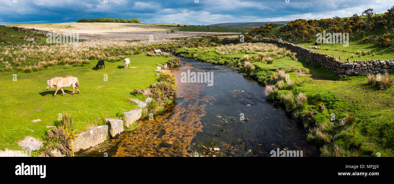 Dartmoor landscape, Devon, England, United Kingdom, Europe Stock Photo ...