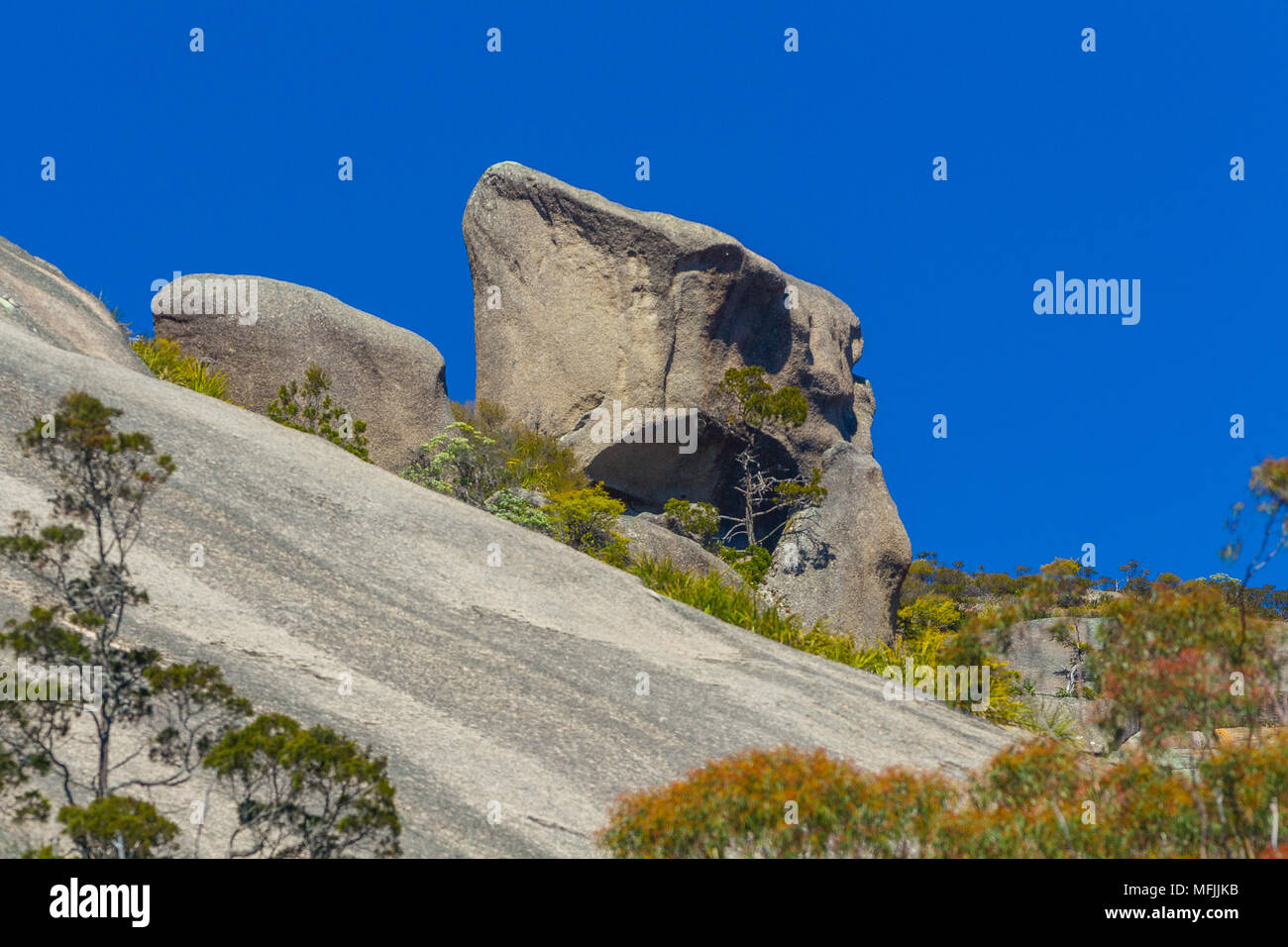 Bald Rock National Park is in northern NSW, north of Tenterfield and ...
