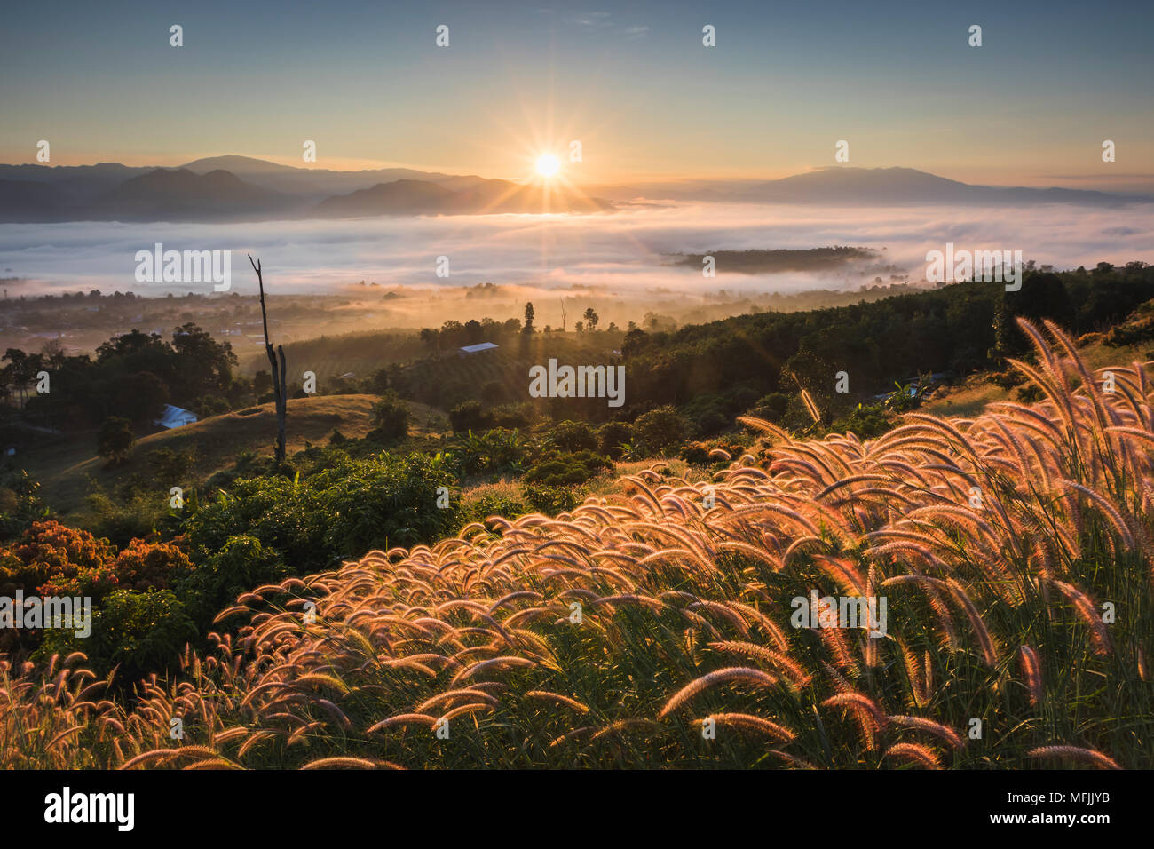 Sunrise from Yun Lai Viewpoint, Thailand, Southeast Asia, Asia Stock ...