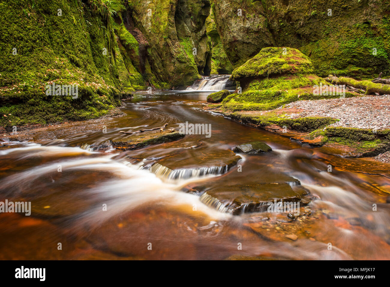 The Devil's Pulpit, near Drymen is a beautiful moss covered, 100ft deep ...