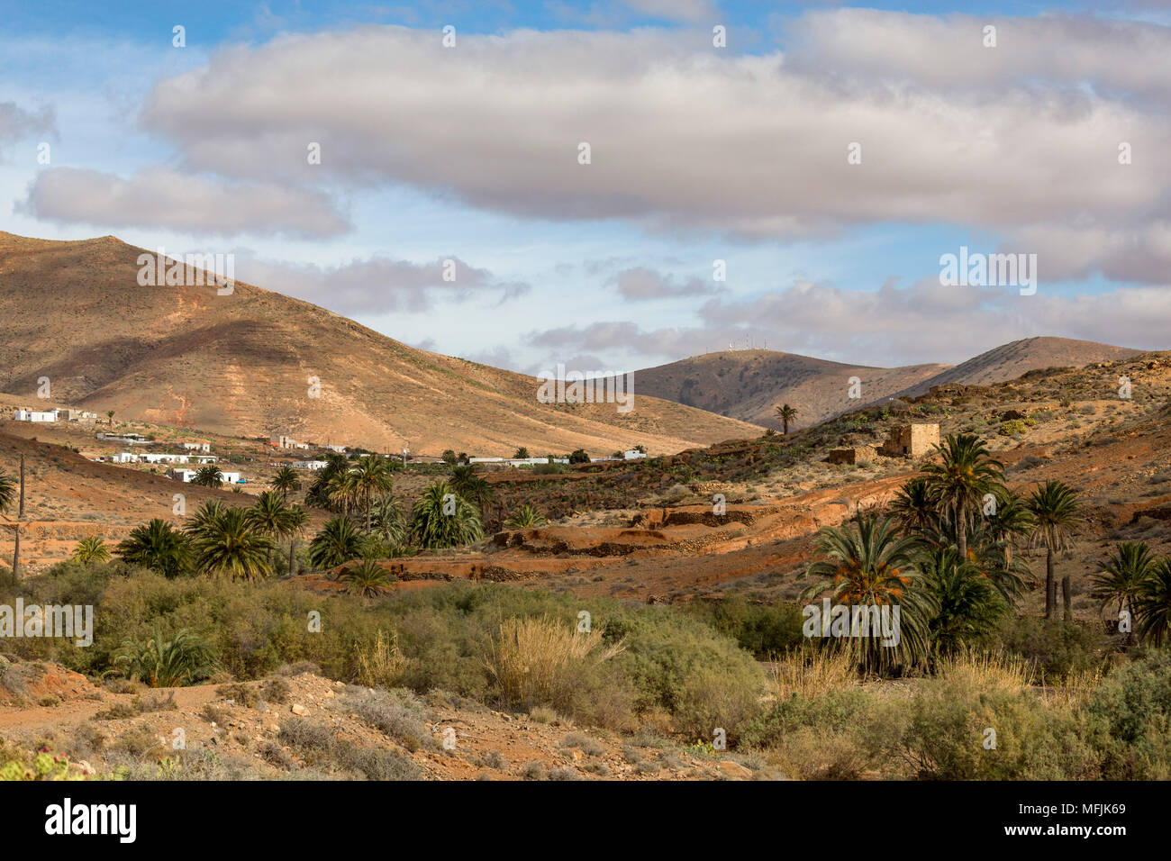 Barranco de las Penitas (Penitas Ravine) on the volcanic island of ...