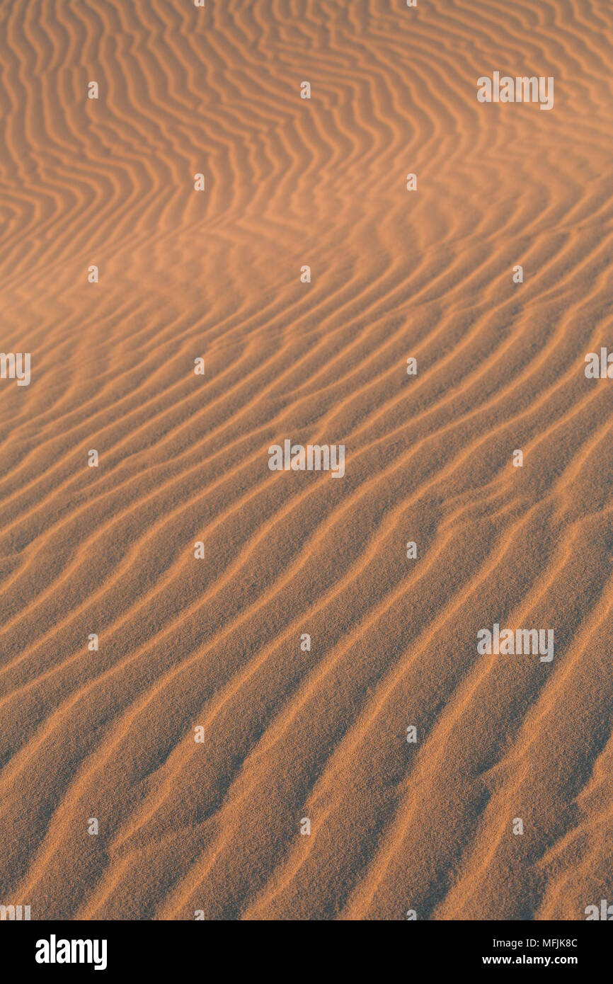 Sand textures on the dramatic Dunas de Corralejo in evening light on ...