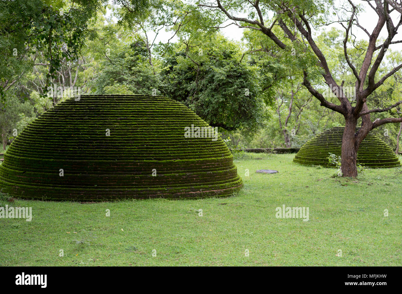A moss covered dagoba dome in the Kiri Vihara temple ruins at ...