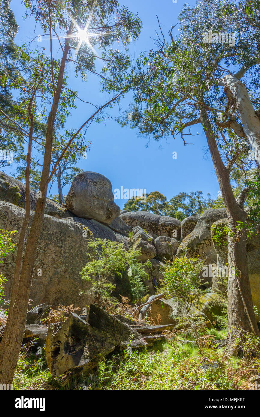 Tenterfield australia hi-res stock photography and images - Alamy