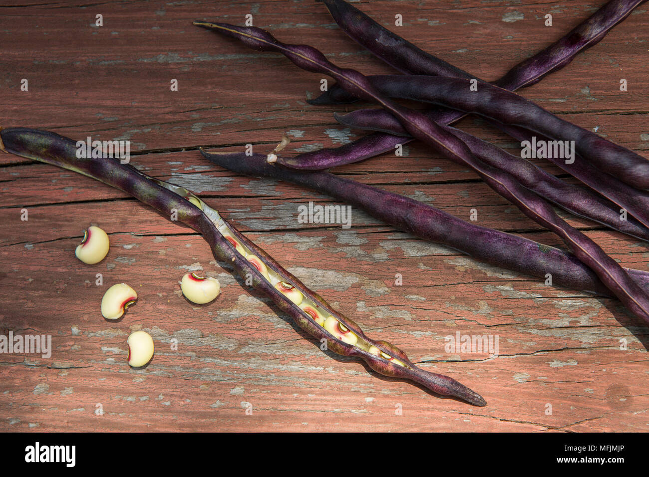 Purple Hull Peas High Resolution Stock Photography and Images - Alamy