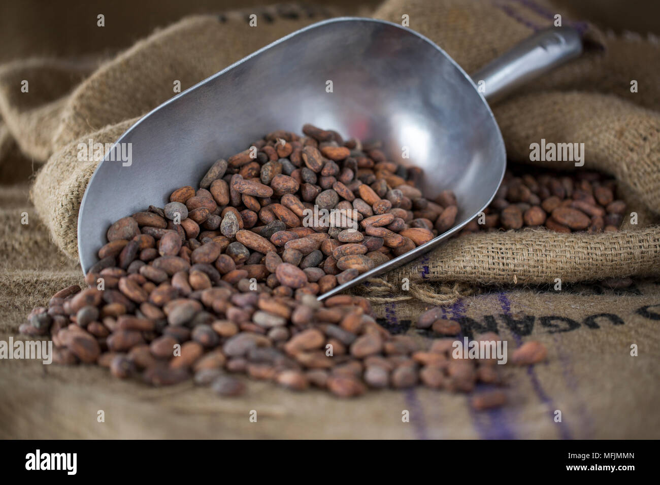 Sack of cocoa beans hi-res stock photography and images - Alamy
