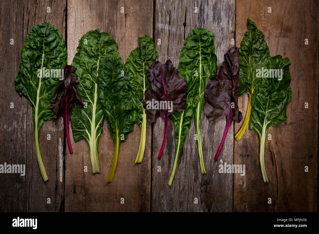 Studio still life of Swiss Chard on a barn wood background Stock Photo ...