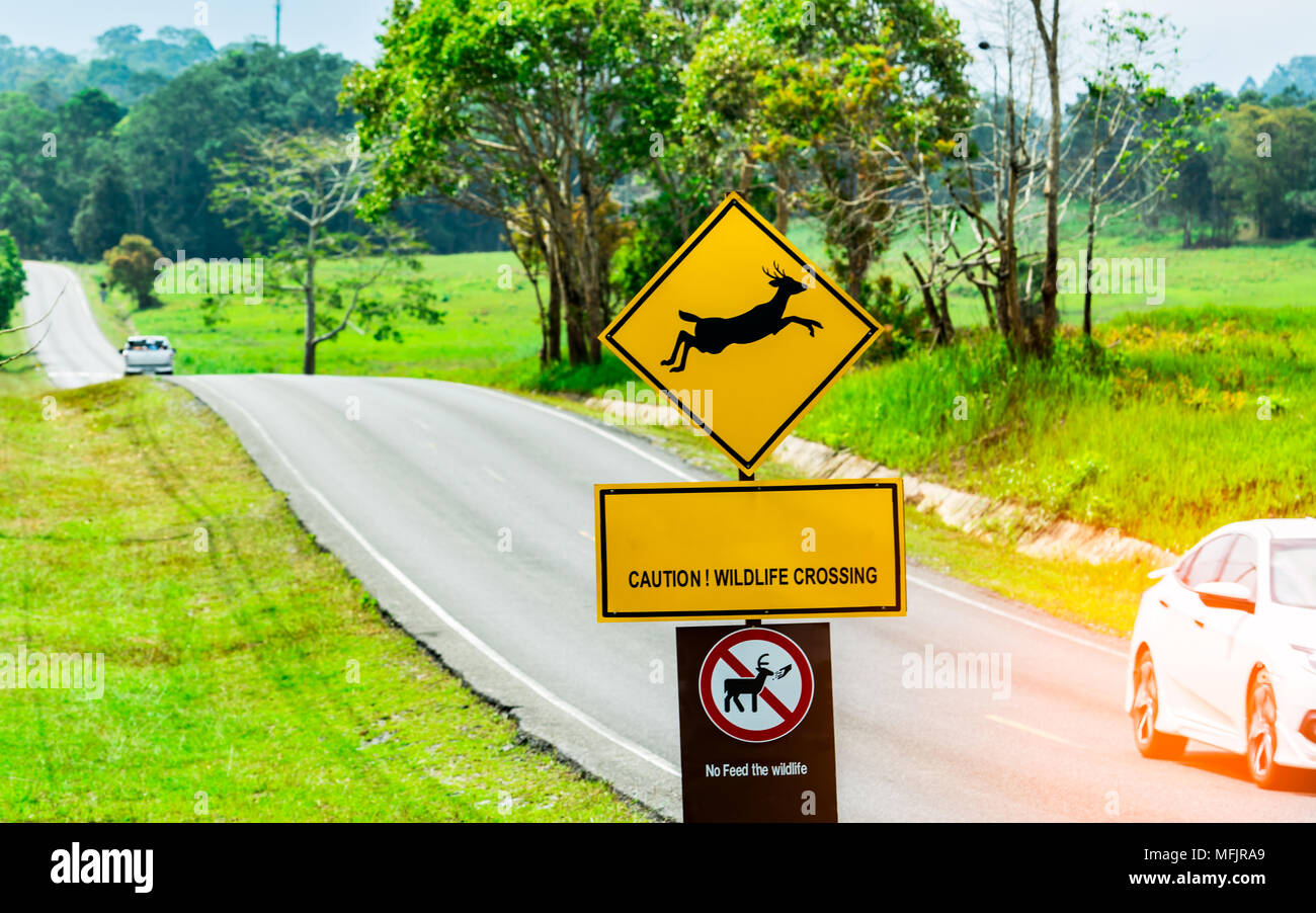 Car warning symbols hi-res stock photography and images - Alamy