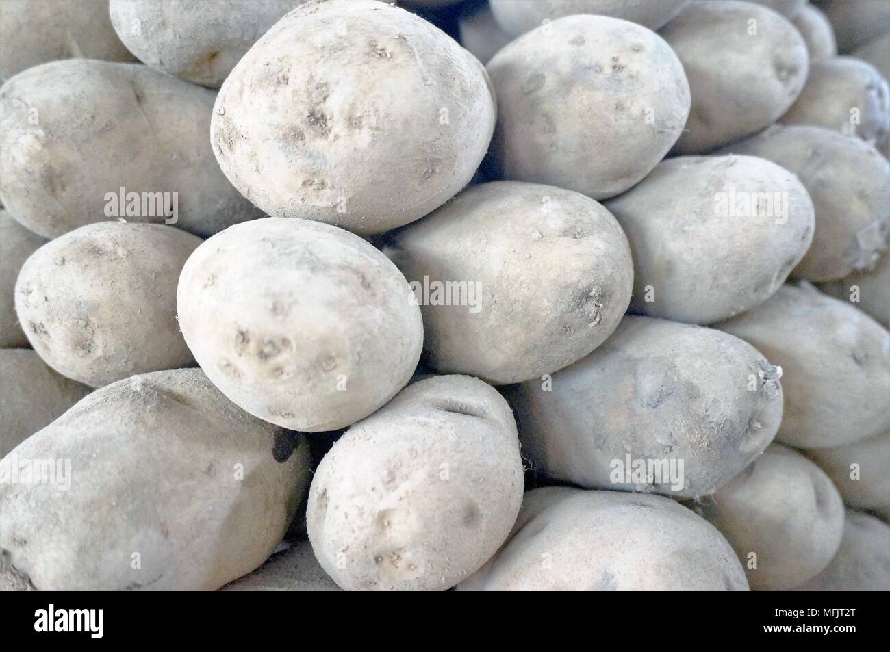 Potatoes on sale farmers hi-res stock photography and images - Alamy