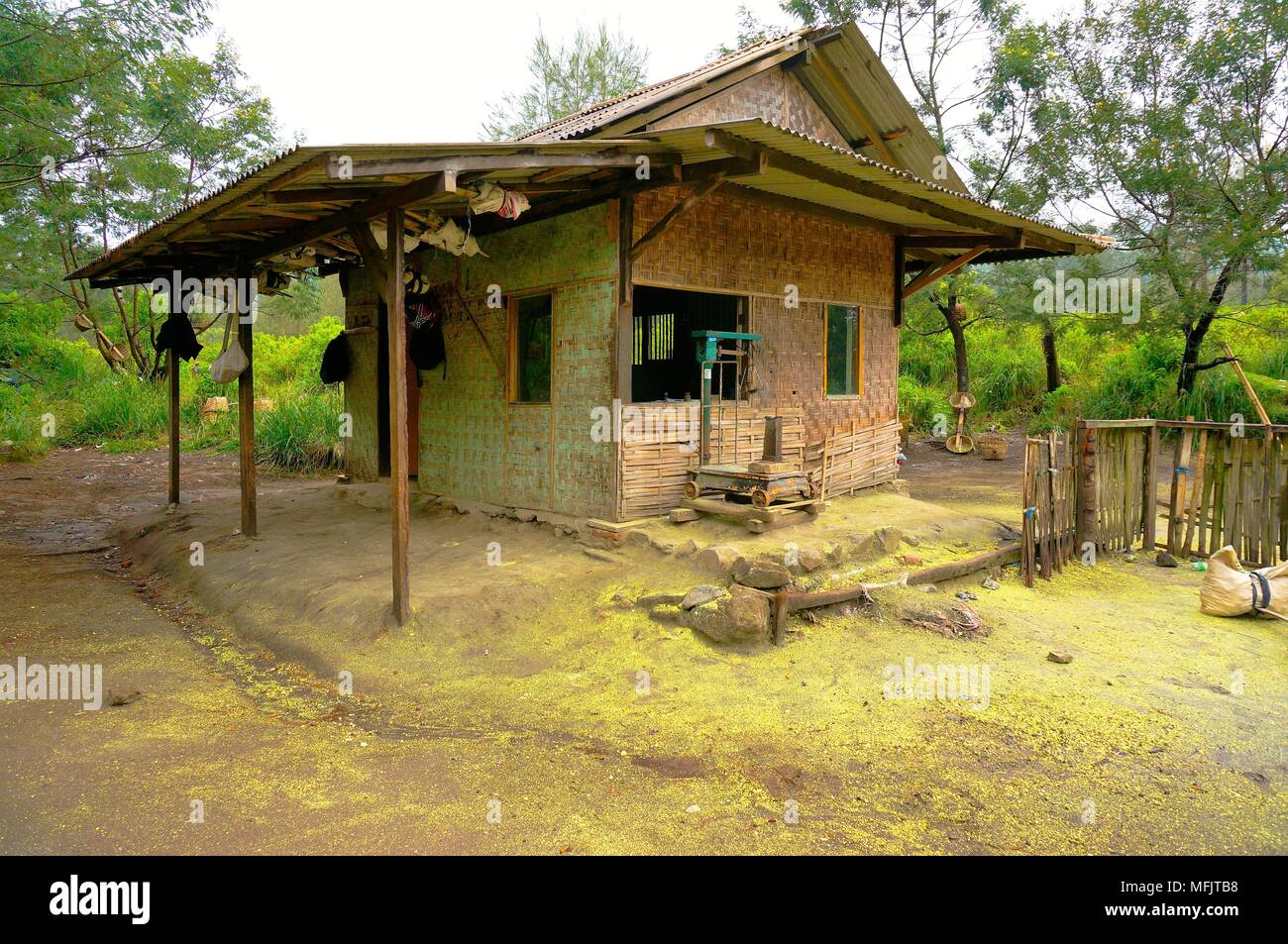Simple houses made of straw, wood and bamboo surrounded by greenery ...