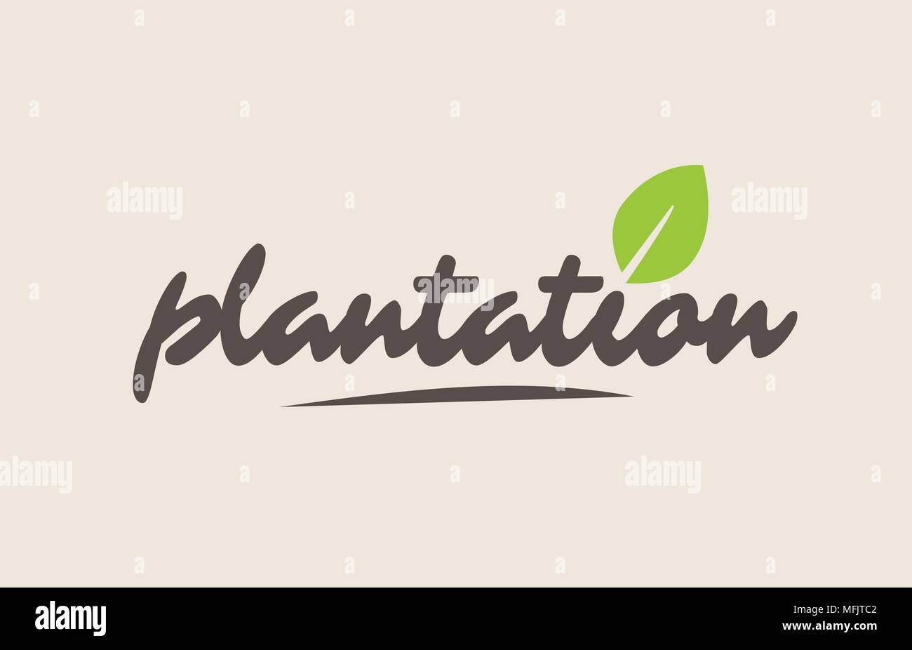 plantation word or text with green leaf. Handwritten lettering suitable ...