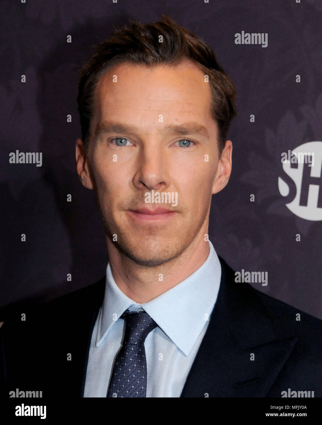 LOS ANGELES, CA - APRIL 25: Actor Benedict Cumberbatch attends the ...