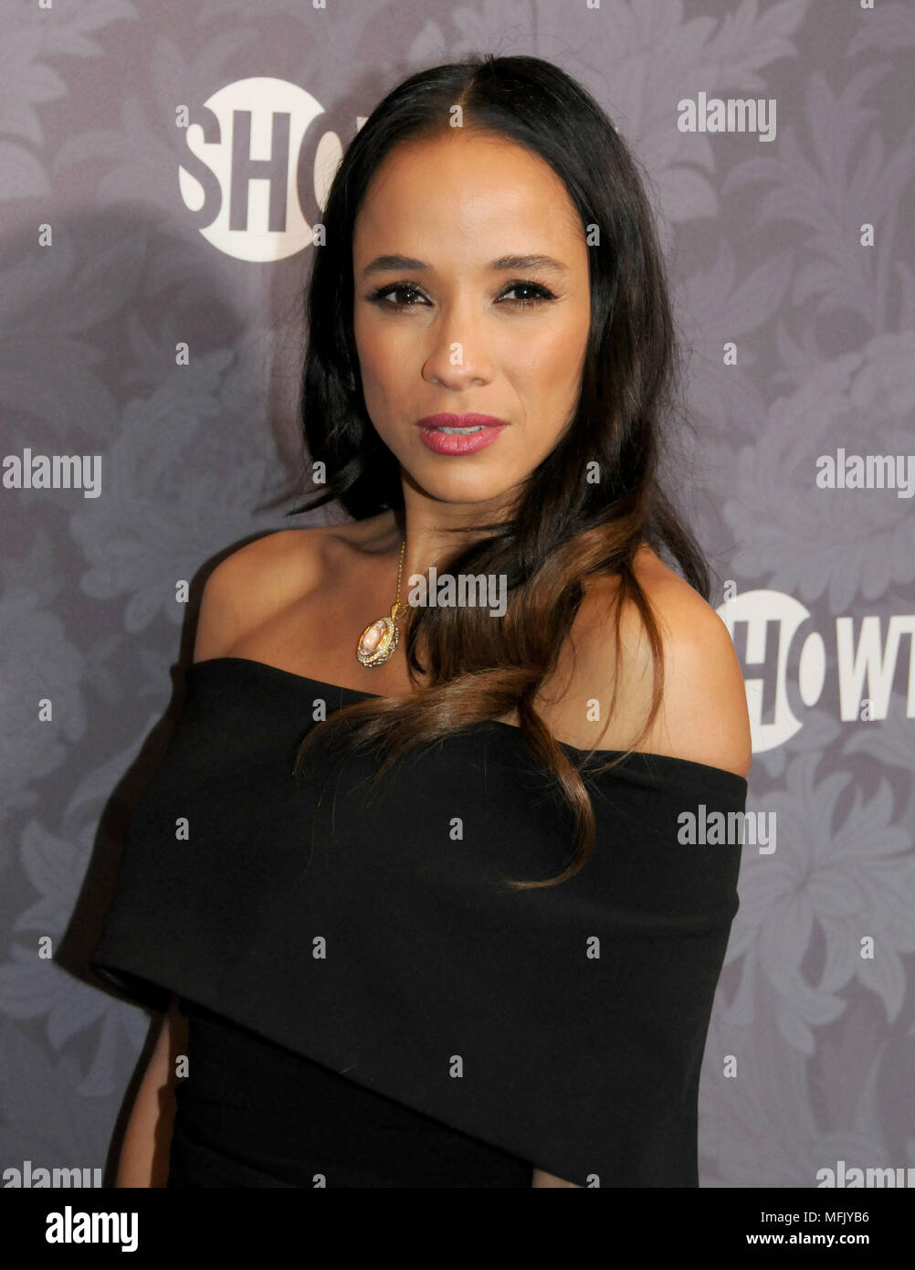 LOS ANGELES, CA - APRIL 25: Actress Dania Ramirez attends the Premiere ...