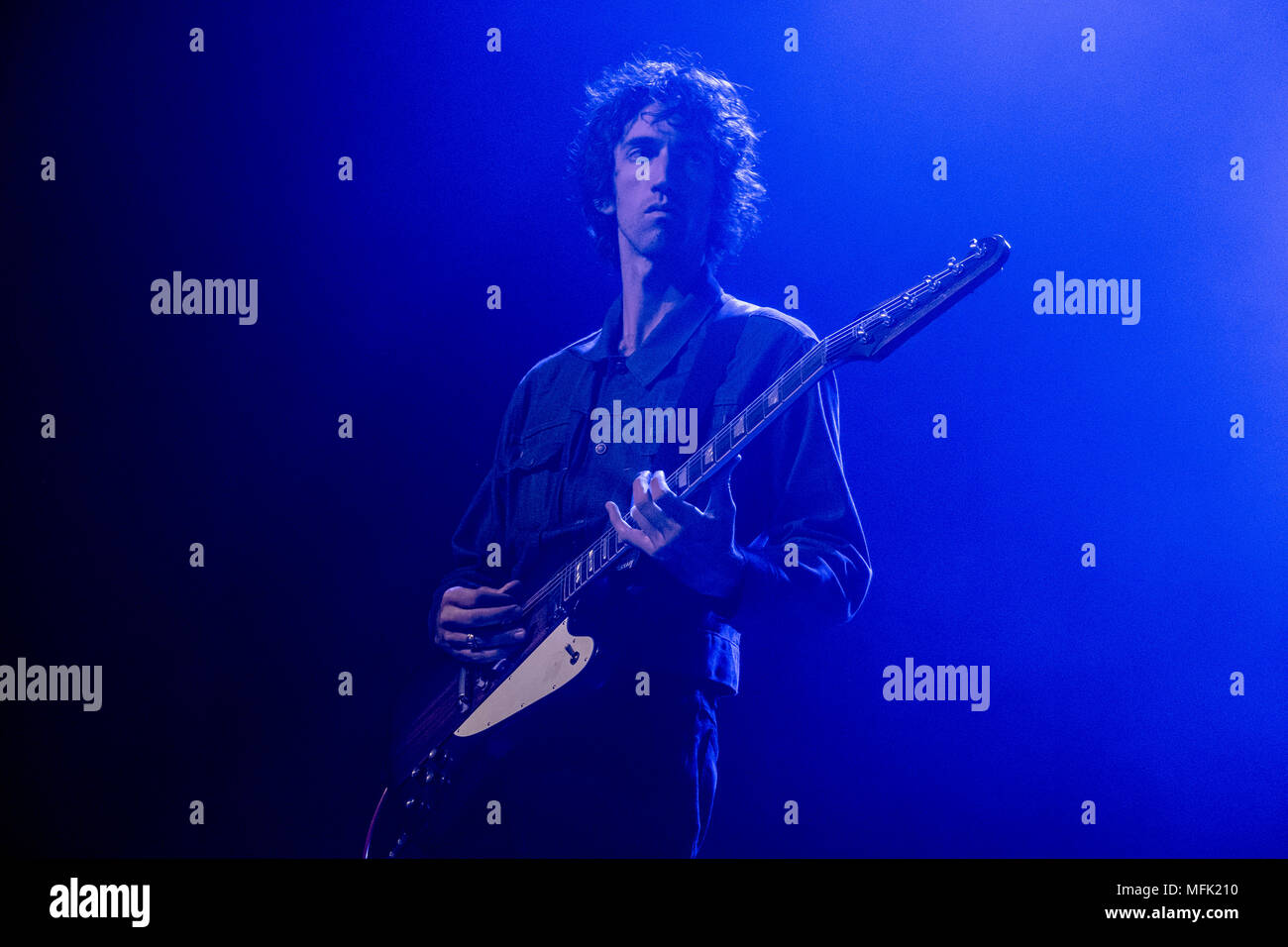 Delicate steve hi-res stock photography and images - Alamy