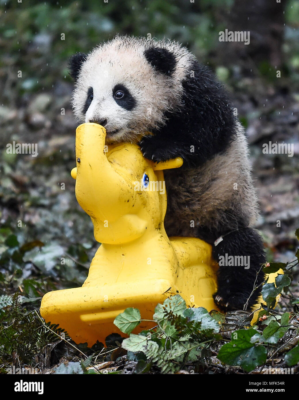 Three bases hi-res stock photography and images - Alamy