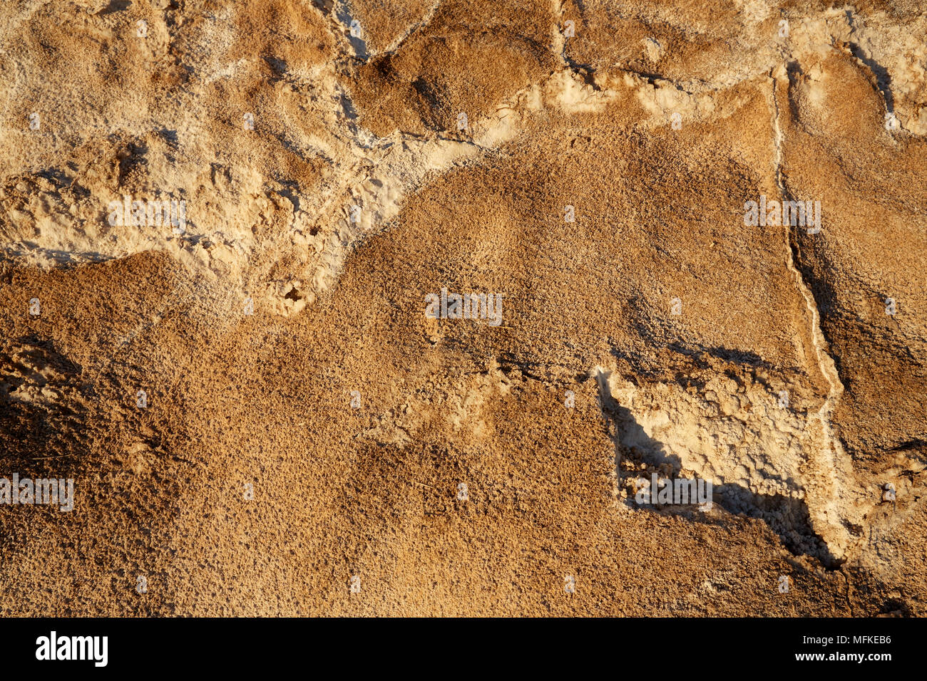 Closeup patterns hi-res stock photography and images - Alamy