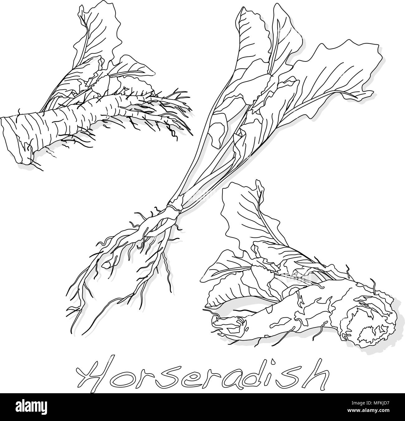 Cooking horse Black and White Stock Photos & Images - Alamy