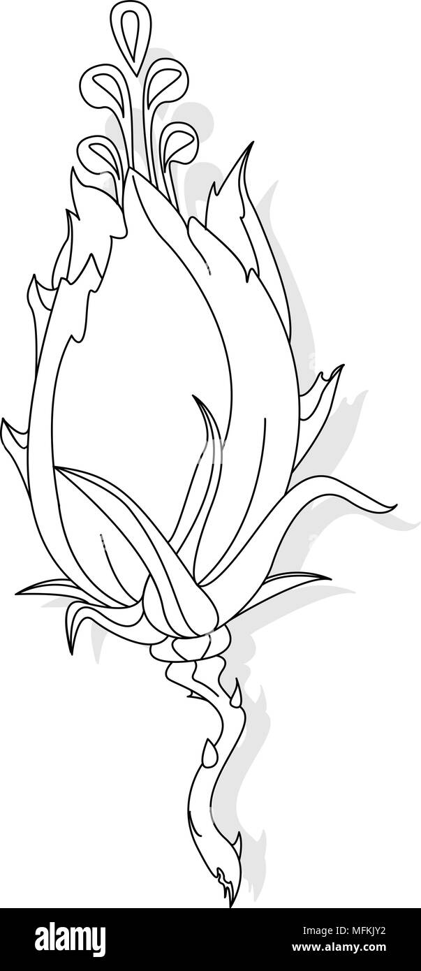 Fantasy flower illustration set on white isolated Stock Vector Image ...