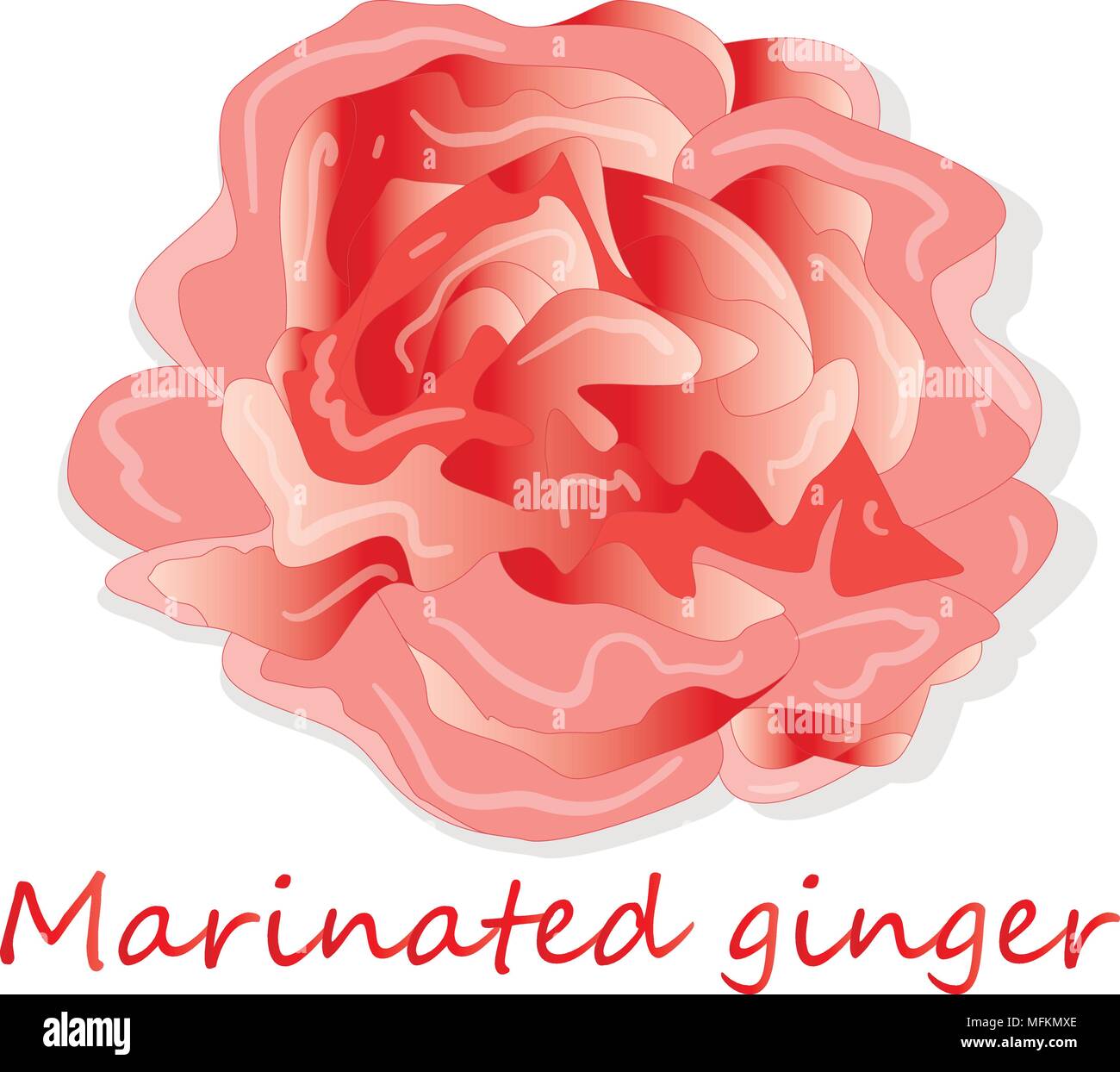 Marinated ginger slices illustration isolated on white Stock Vector ...
