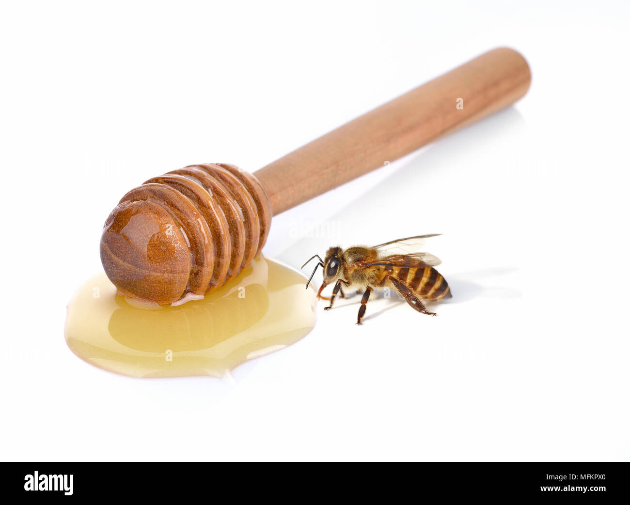 Realistic honey bee on Cut Out Stock Images & Pictures - Alamy