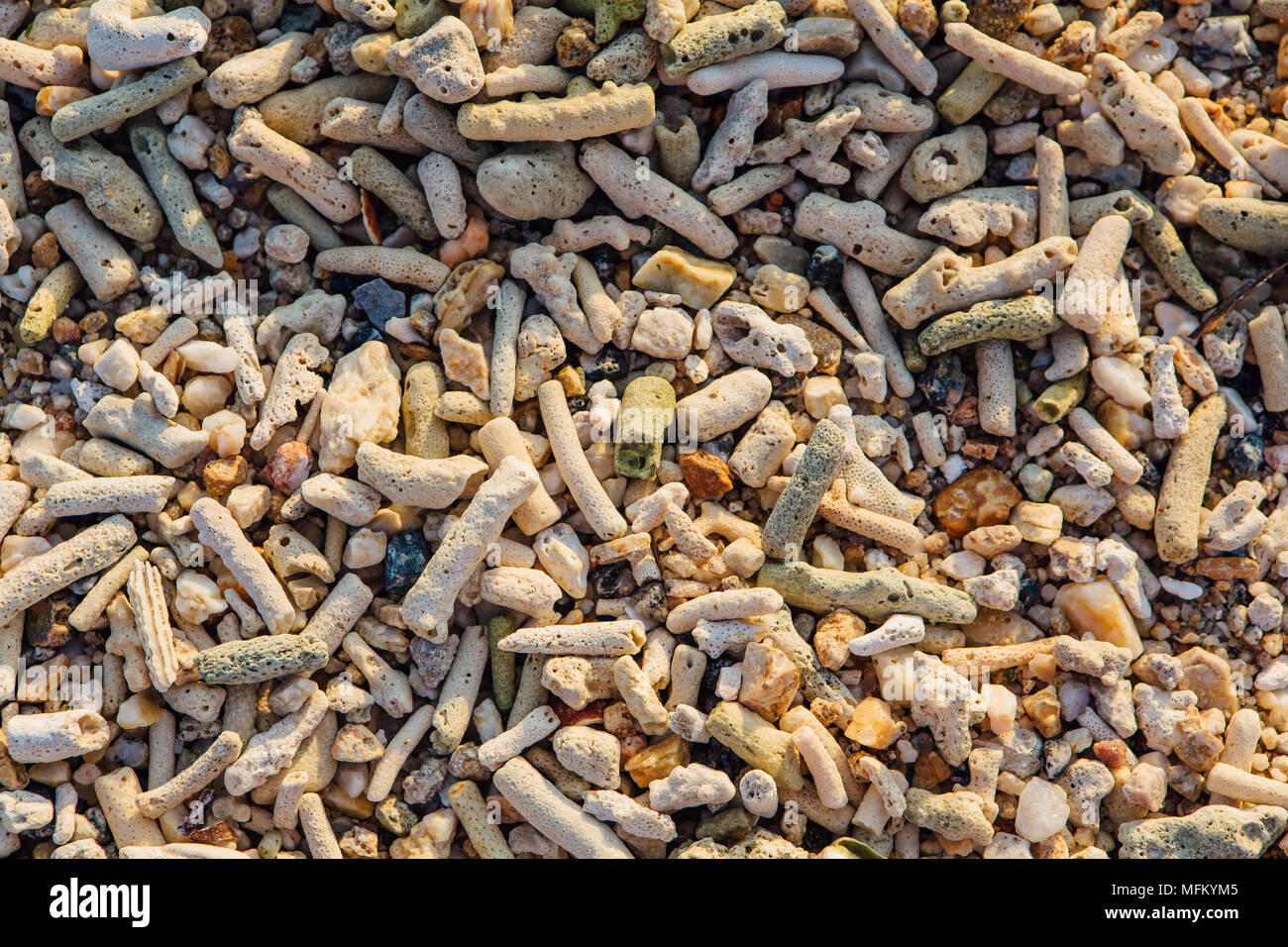 Sea sand texture made of shell and stone pieces Stock Photo - Alamy