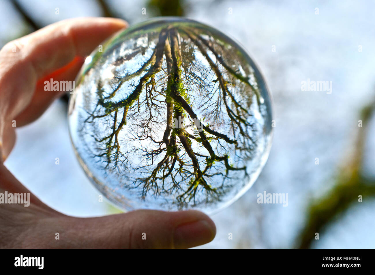 Sphere and crystal hi-res stock photography and images - Alamy