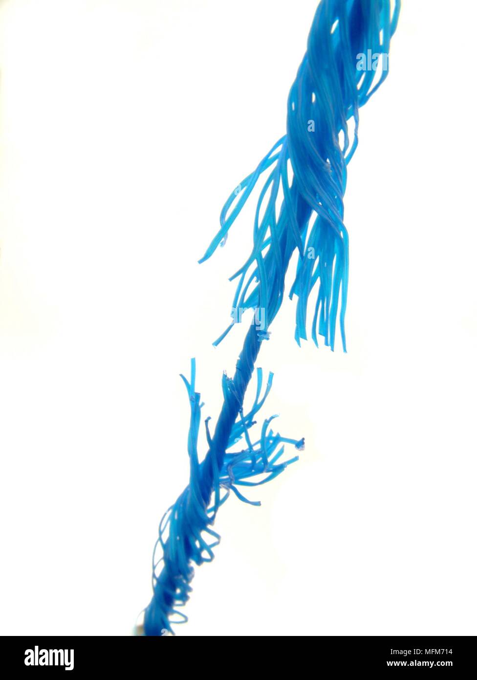 Snapping rope hi-res stock photography and images - Alamy