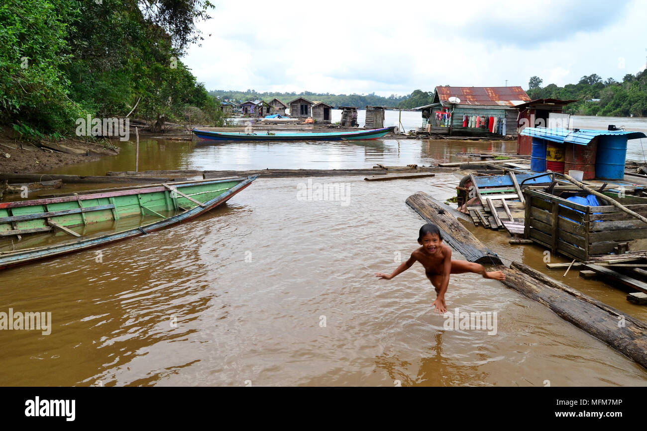 daily life on the banks of the Barito River Central Borneo, Indonesia ...