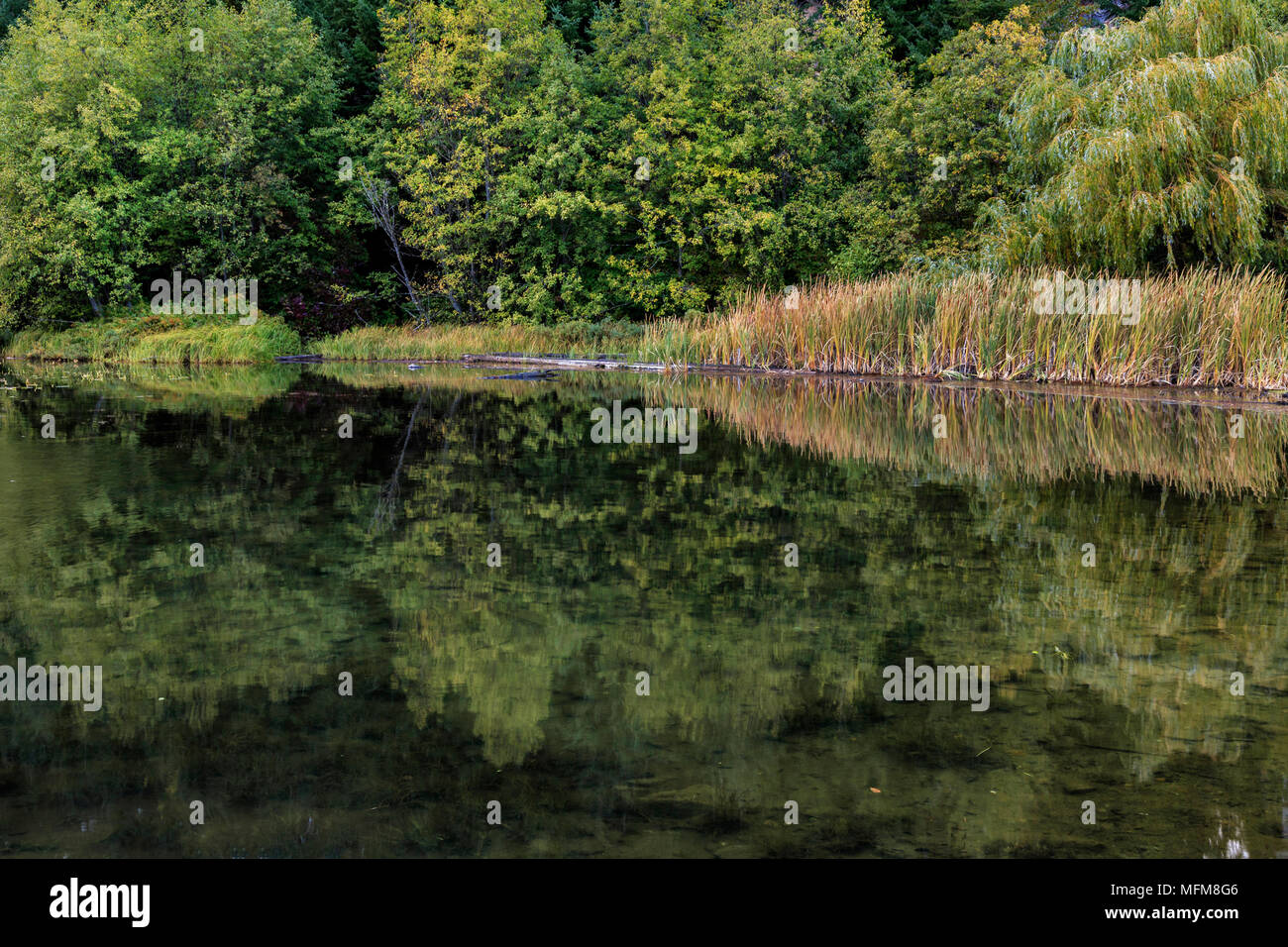 Alpha sea hi-res stock photography and images - Alamy