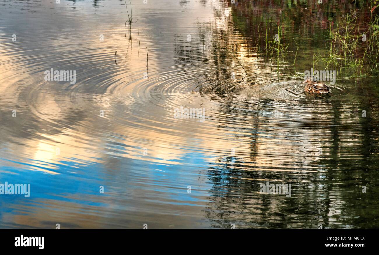Alpha lake hi-res stock photography and images - Alamy