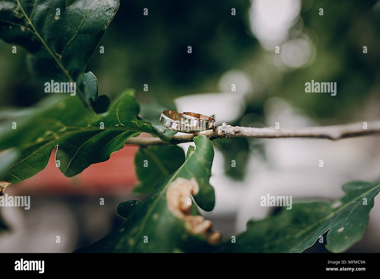 wedding rings outdoor Stock Photo - Alamy