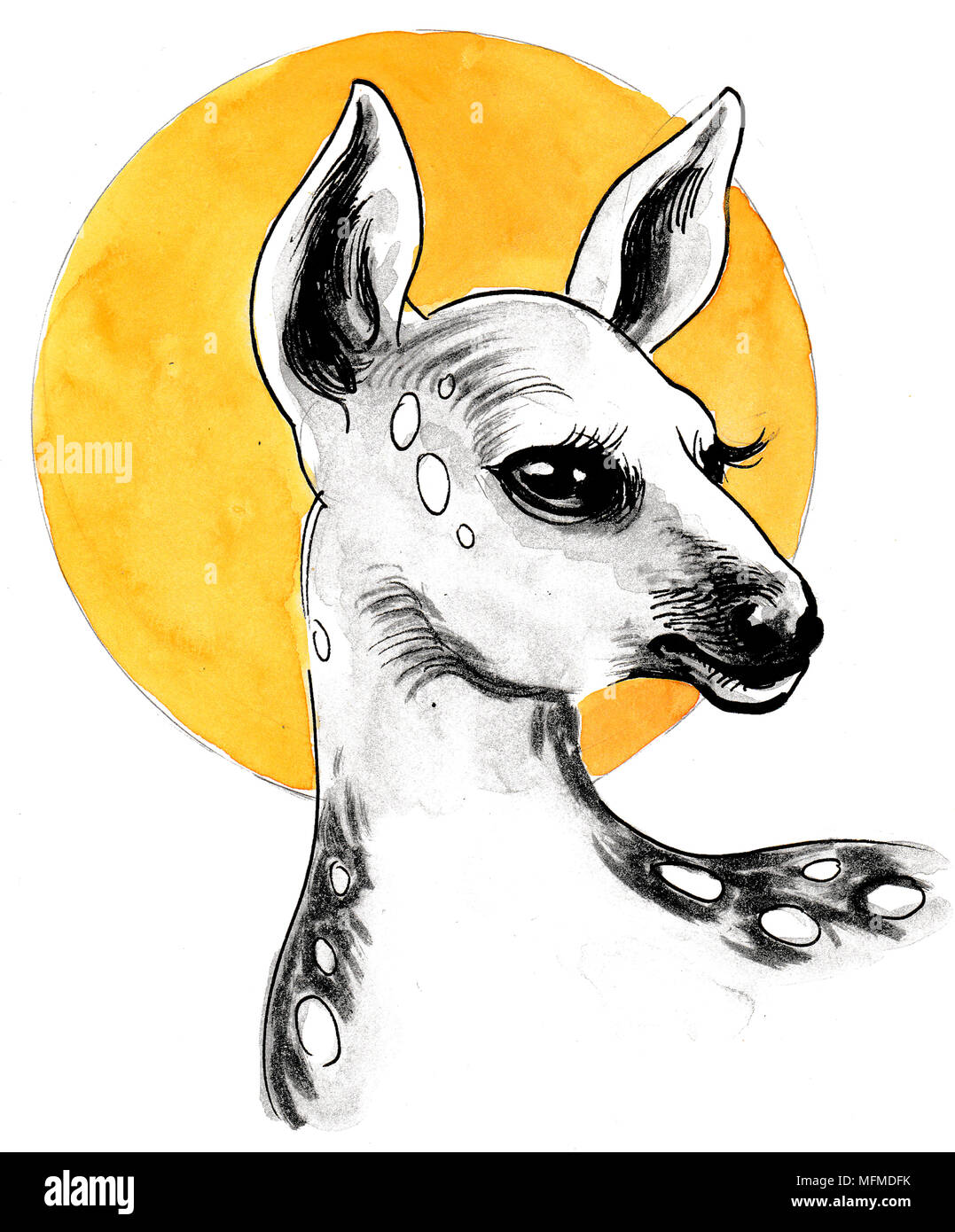 Baby deer. Ink and watercolor illustration Stock Photo - Alamy