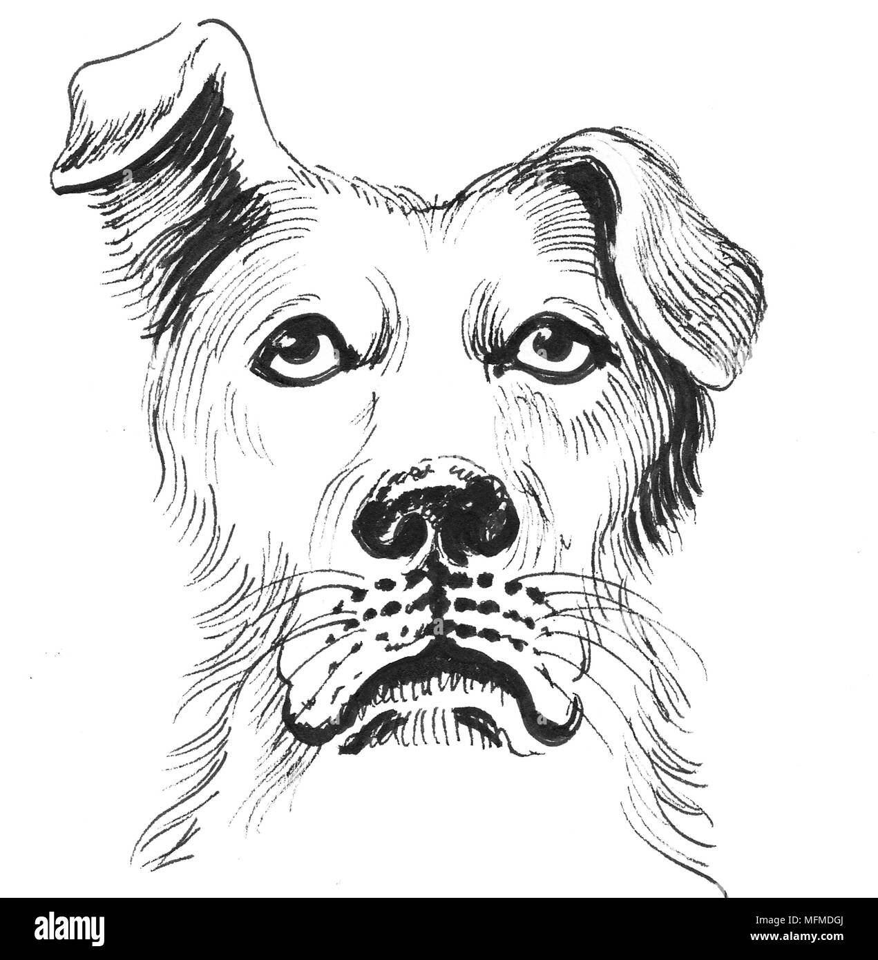 Sad dog illustration Stock Photo - Alamy