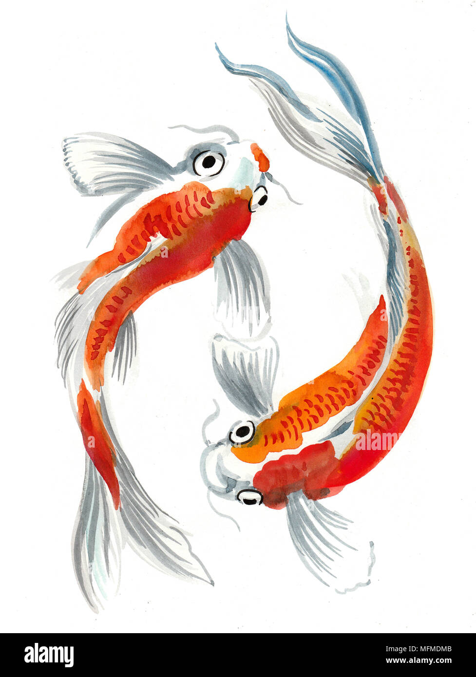 A pair of Coi fishes Stock Photo - Alamy