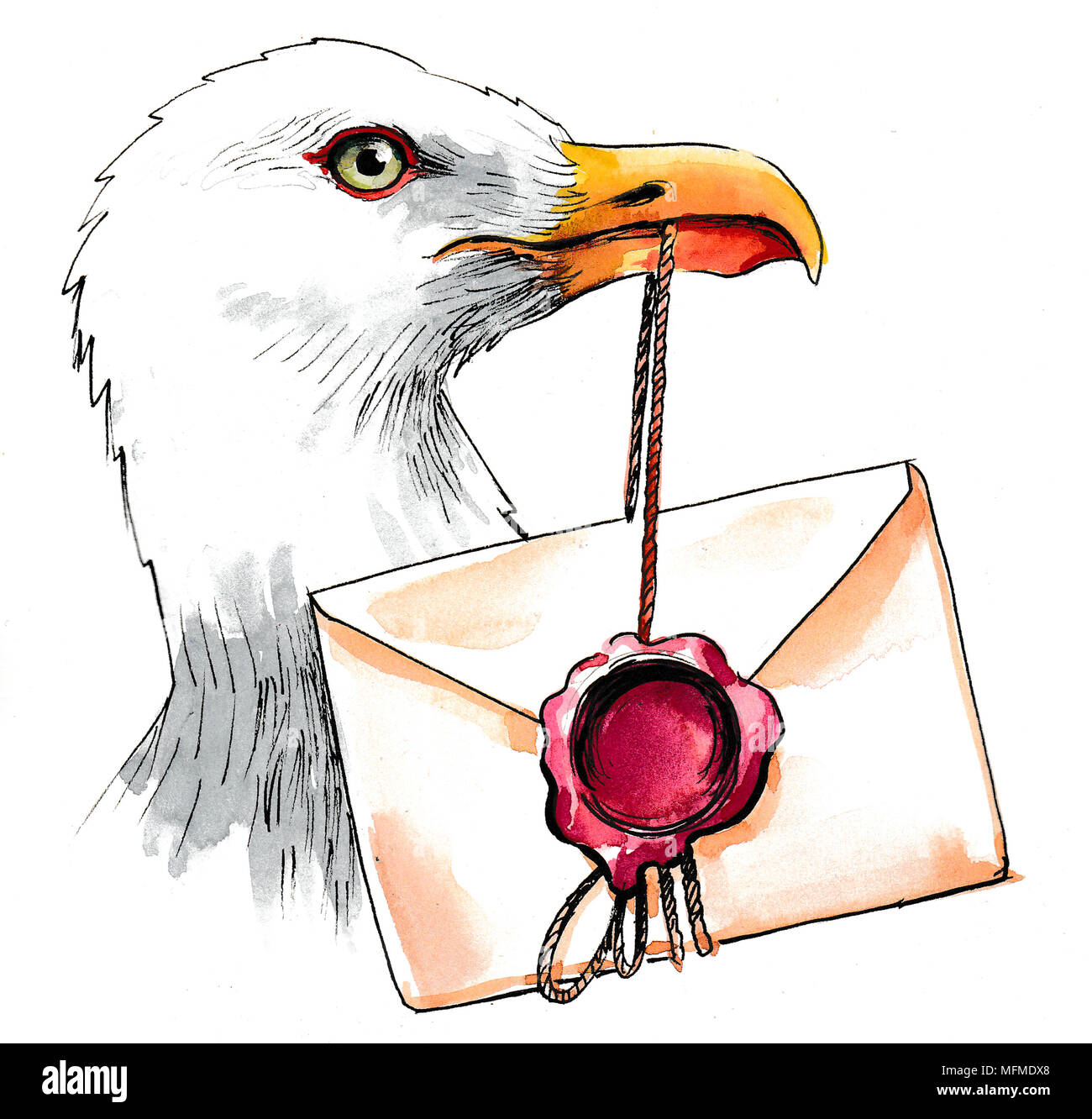 Seagull with a sealed letter. Ink and watercolor illustration Stock ...