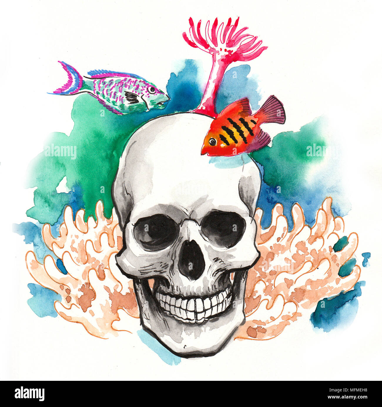 Skull underwater with coral fishes Stock Photo - Alamy