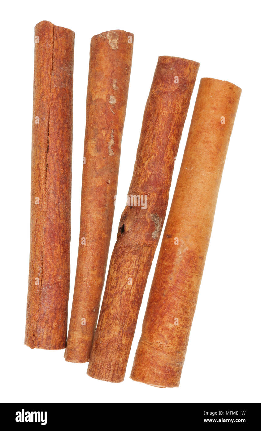 The correct real texture of dried cinnamon bark sticks. Isolated on ...