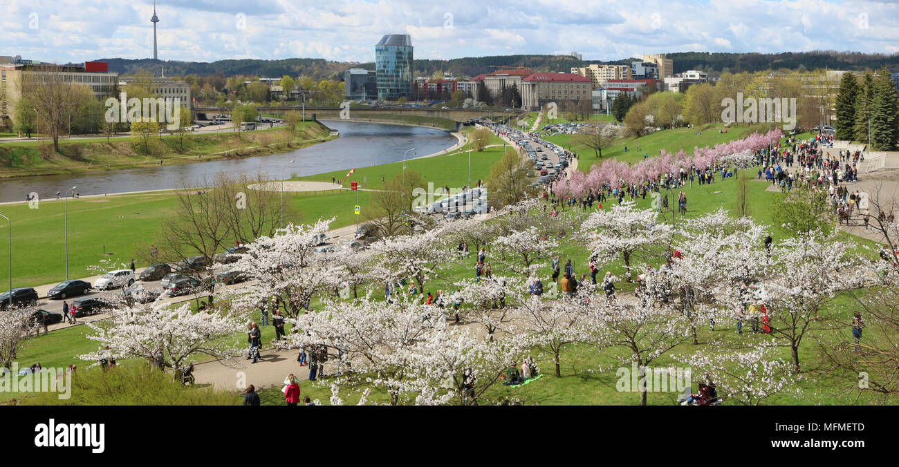 Sugihara garden hi-res stock photography and images - Alamy