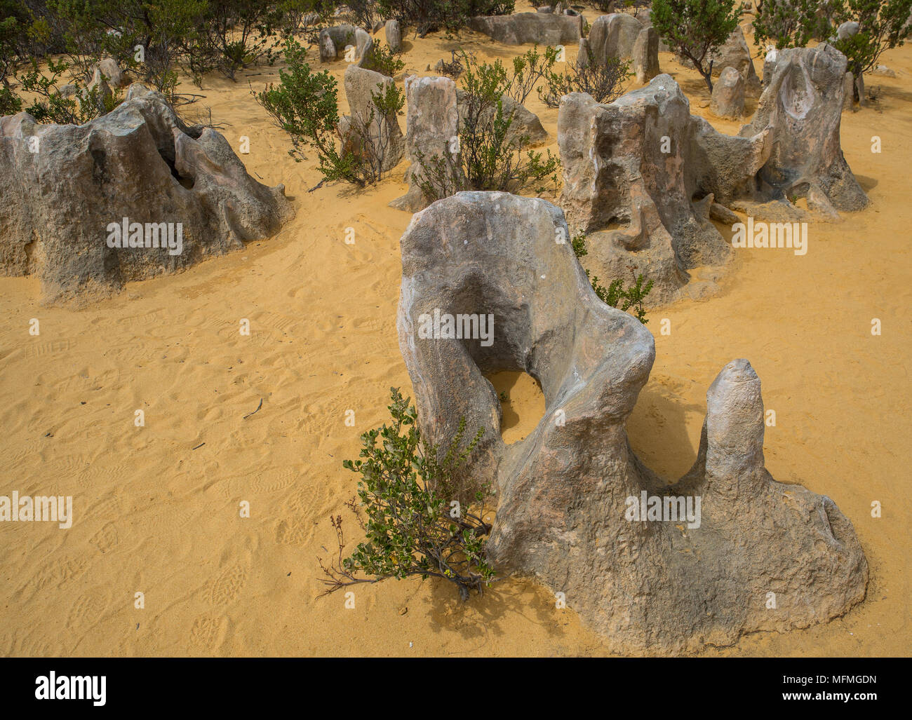 The Pinnacles, limestone formations within Nambung National Park, near ...